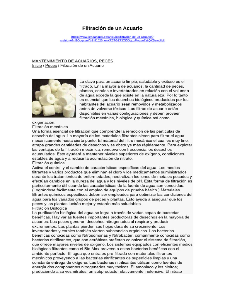 Filtración Efectiva para Acuarios Saludables | PDF | Acuario | Agua