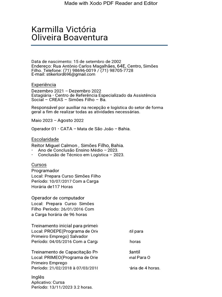 Curriculo Karmilla | PDF