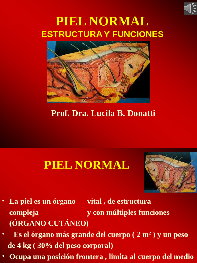 Estructura y funciones de la piel normal | PDF | Piel | Epidermis