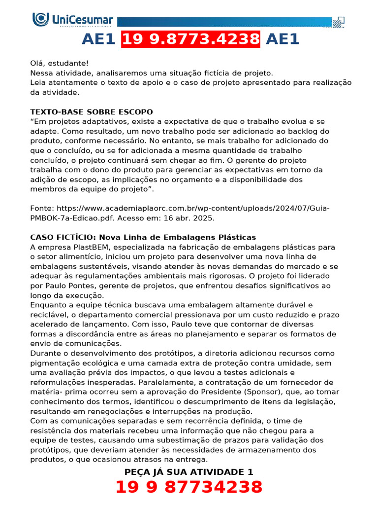 AE1 AE1: Texto-Base Sobre Escopo | PDF | Custo