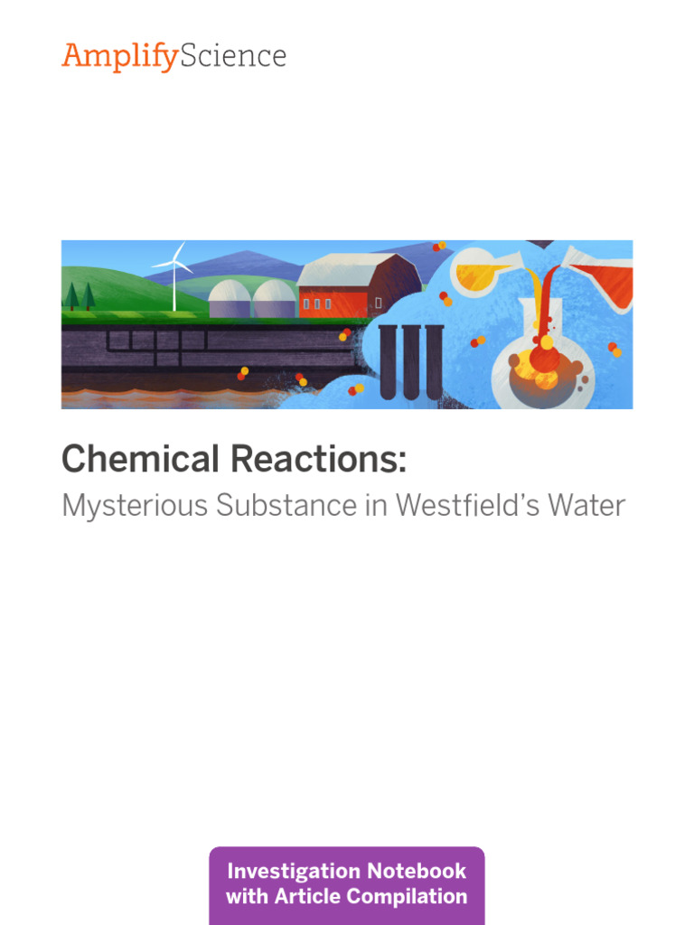 Chemical Reactions Workbook | PDF | Chemical Substances | Chemistry