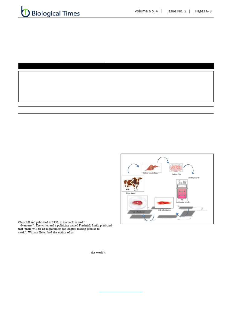 Lab-Grown vs. Conventional Meat: Insights | PDF | Fat | Meat