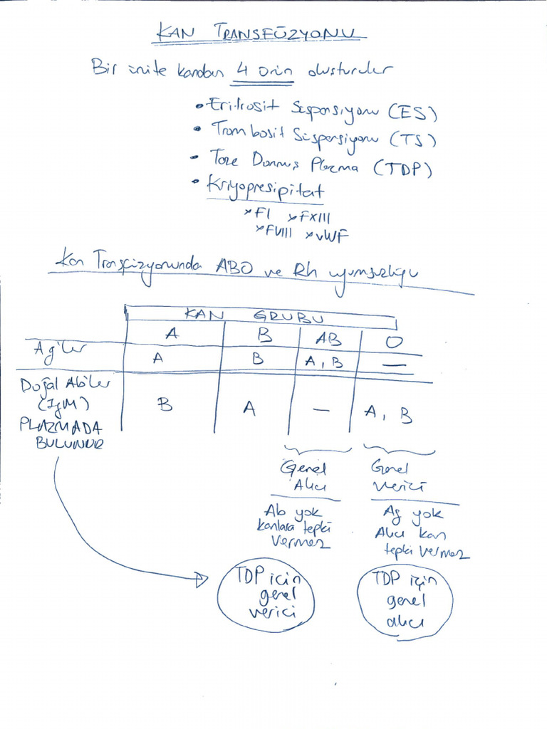 Hematoloji - Kan Ürünleri Ve Nakil | PDF
