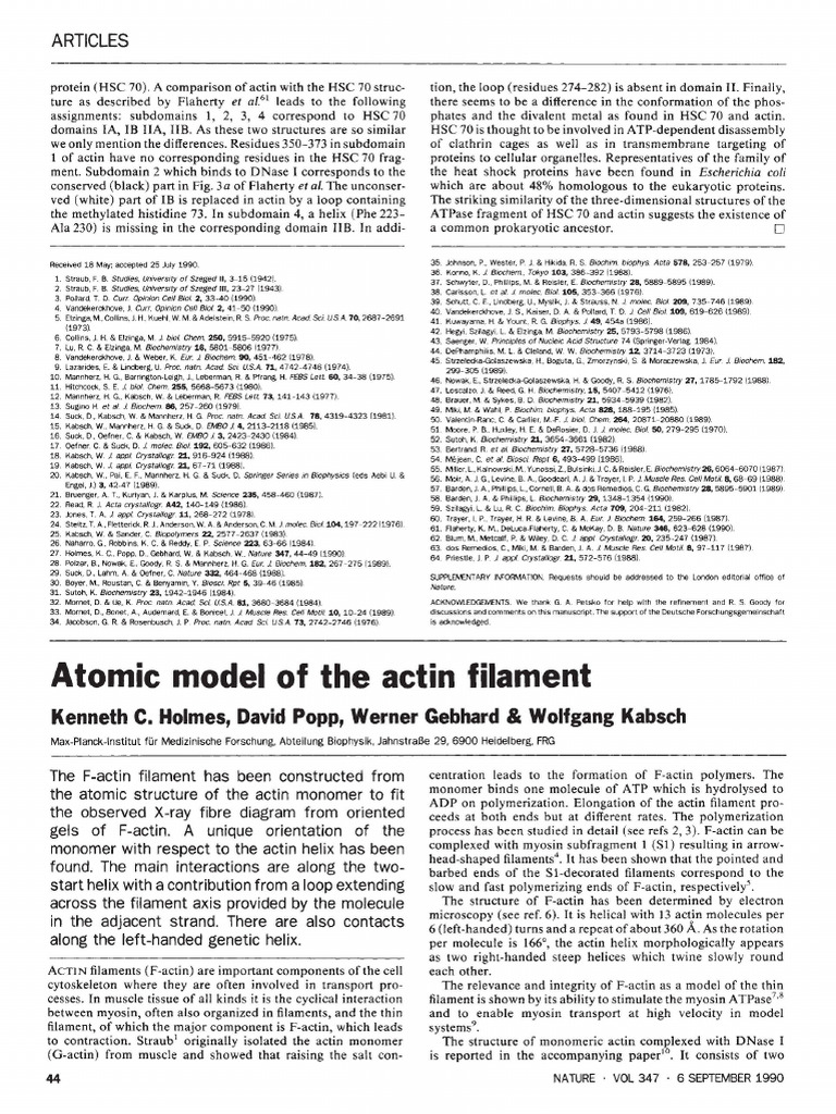 Actin Filament Structure and Function | PDF | Actin | Alpha Helix