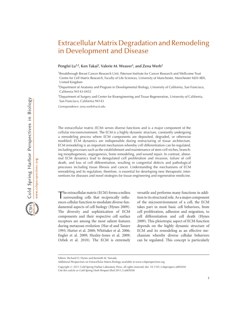 Lu et al. Cold Spring Harb Perspect Biol. 2011. Extracellular matrix degradation and remodeling ...