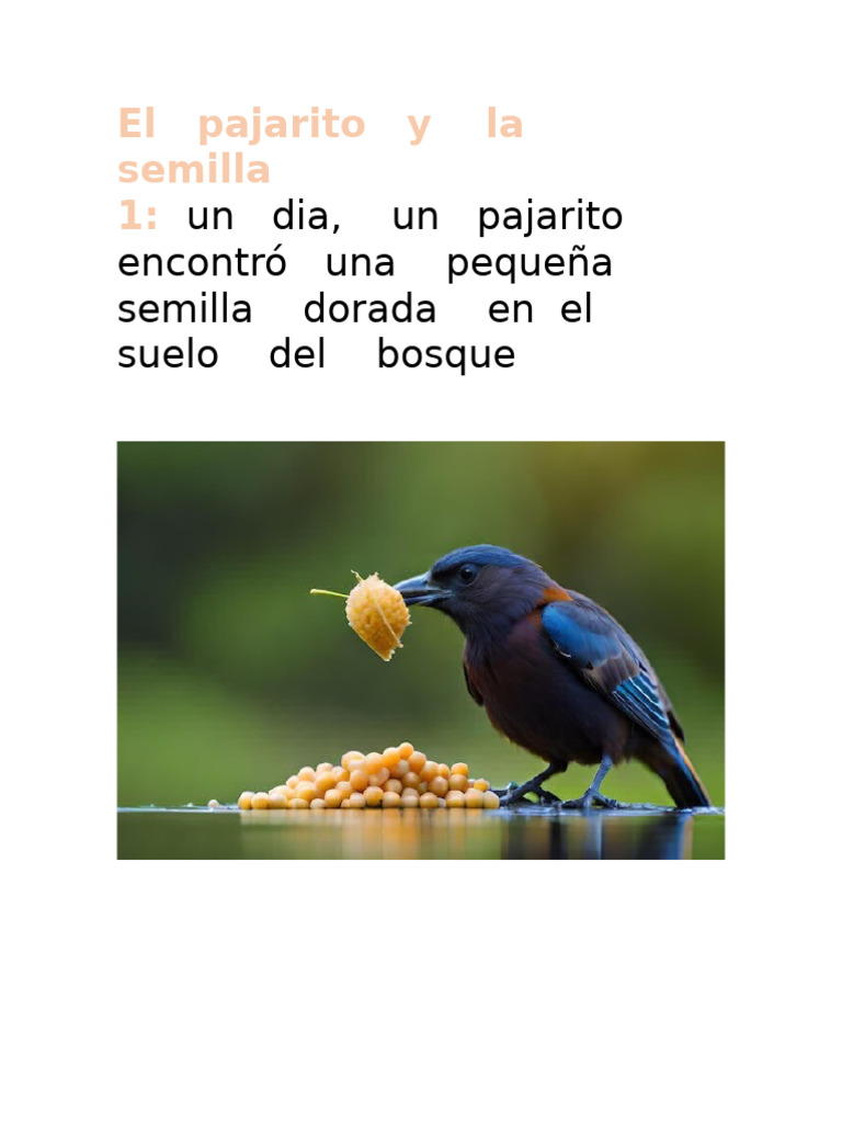 El Pajarito y La Semilla | PDF