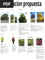 Libro Adobe Completo | PDF