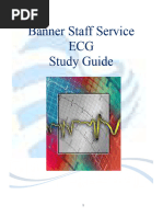 ECG - EKG Practice Quiz (Identify Rhythms) | PDF | Electrocardiography ...