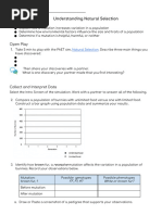 Natural Selection Simulation Guide | PDF | Tooth | Rabbit