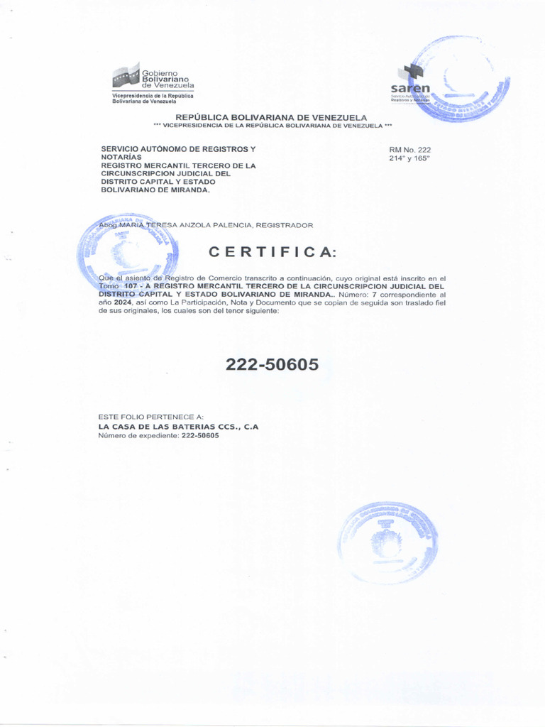 Registro Mercantil - La Casa de Las Baterias Ccs | PDF