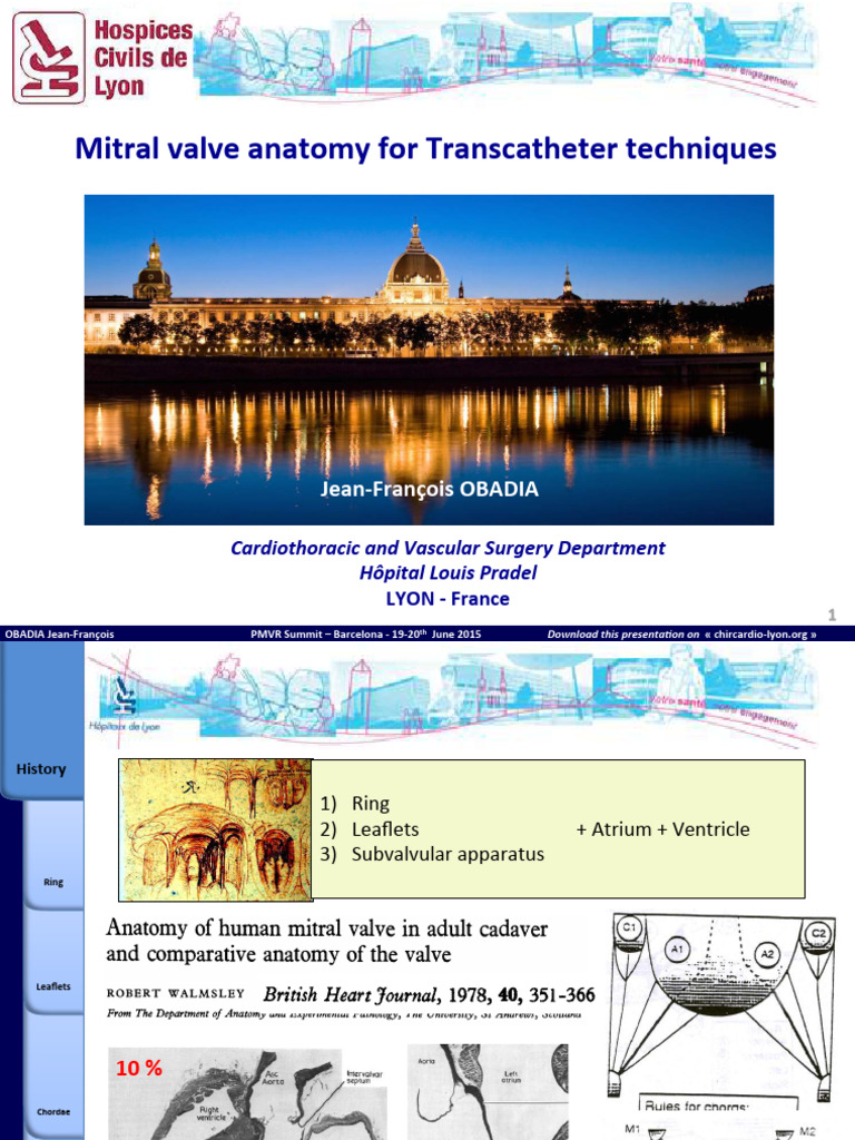 Mitral Anatomy - Compressed | PDF | Heart Valve | Ventricle (Heart)