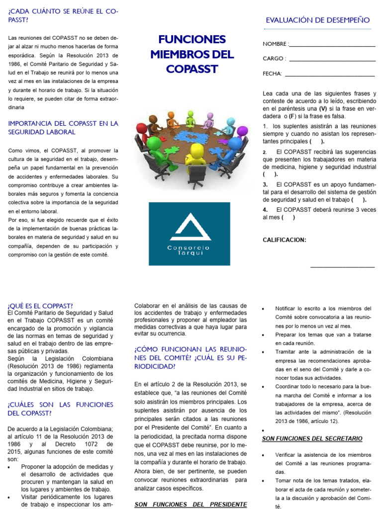 Funciones y Reuniones del COPASST | PDF | Seguridad y salud ocupacional
