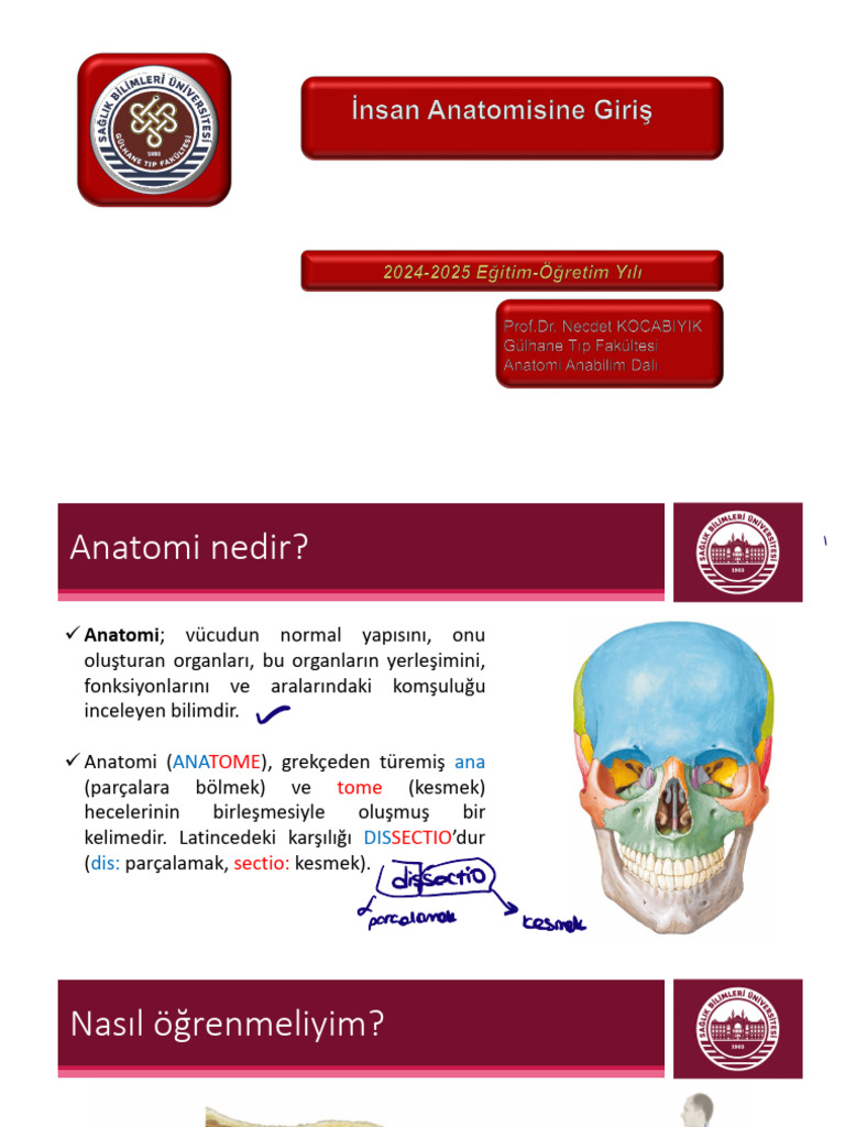 Anatomi̇ Gi̇ri̇ş Nkocabiyik | PDF