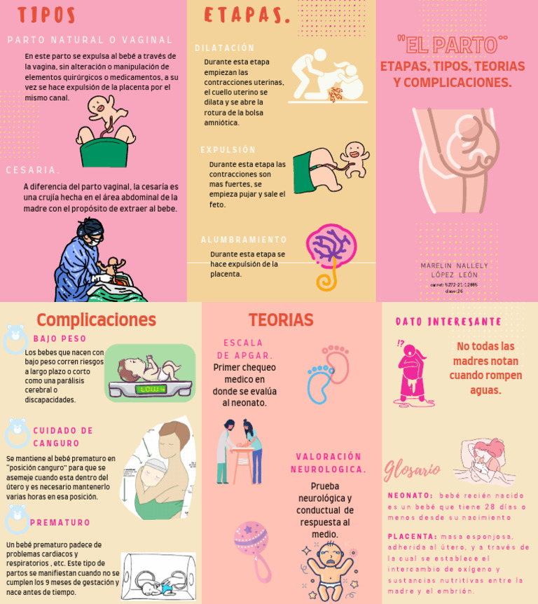 Etapas Del Parto | PDF | Parto | Parto prematuro