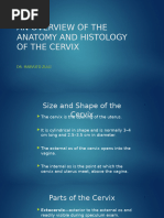 Anatomy of The Cervix, Squamocolumnar Junction, Metaplastic Change and ...