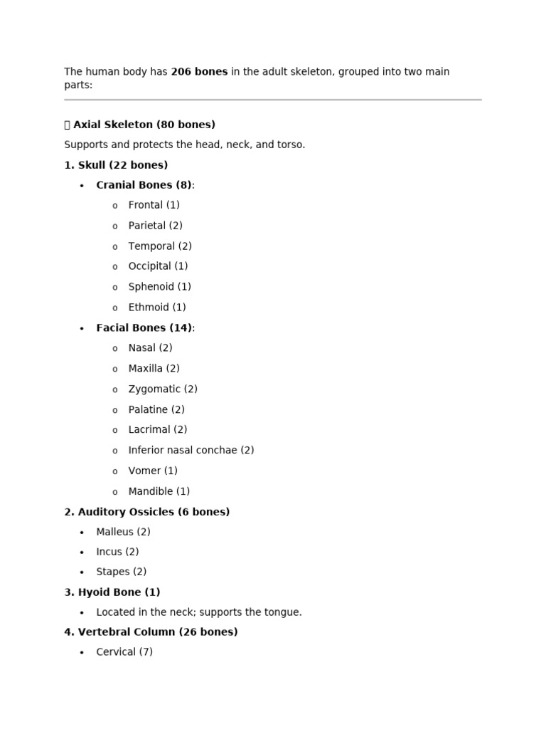 The human body has 206 bones in the adult skeleton | PDF