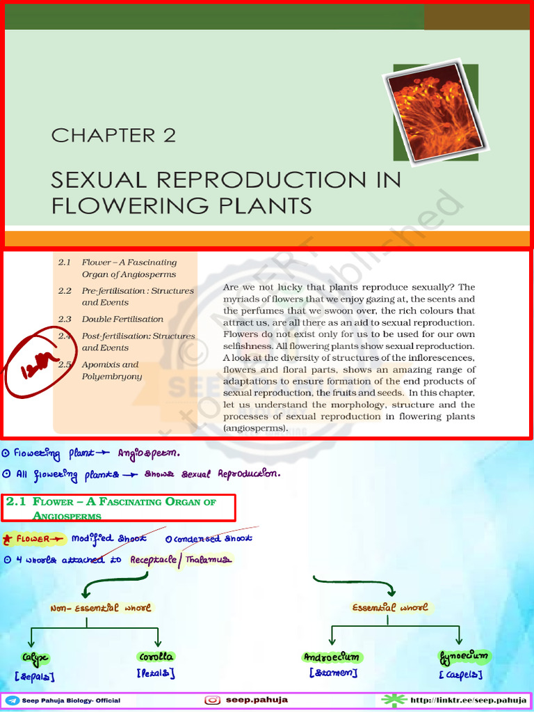 Complete Biology PDF | PDF | Endocrine System | Luteinizing Hormone