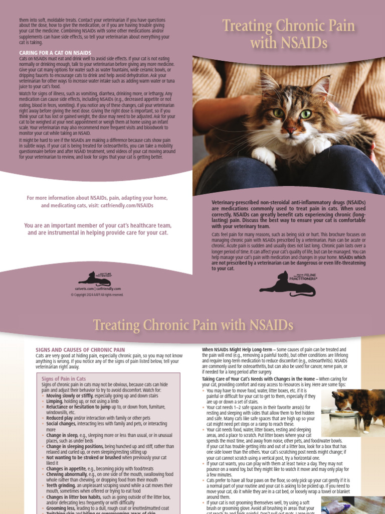 AAFP-ClientBroch-Guideline ChronicPainwNSAIDs PrintFormat | PDF | Pain | Nonsteroidal Anti ...