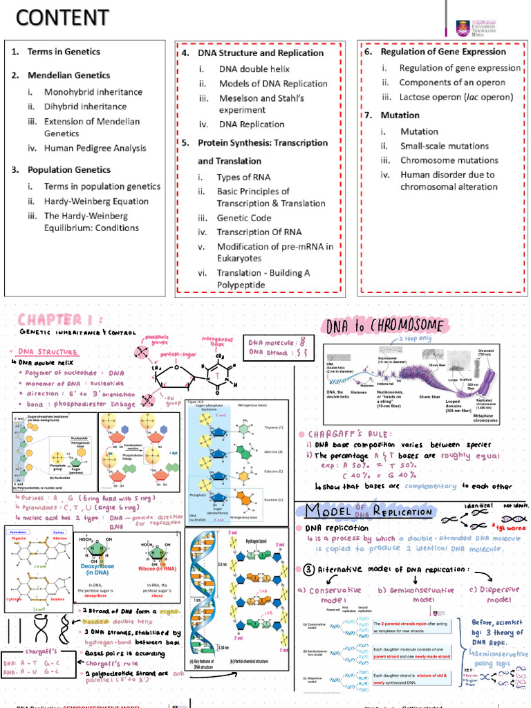 Chapter 1 Genetics Inheritance and Genetic Control 20242025 Part | PDF