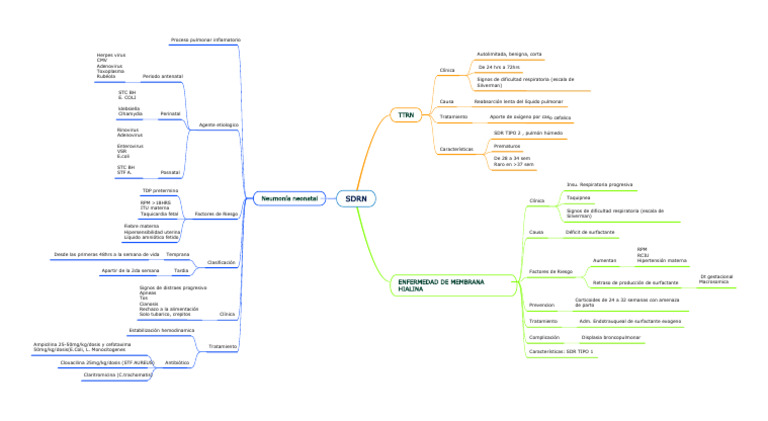 Mapa Mental - Resumen | PDF | Neumonía | Especialidades Medicas