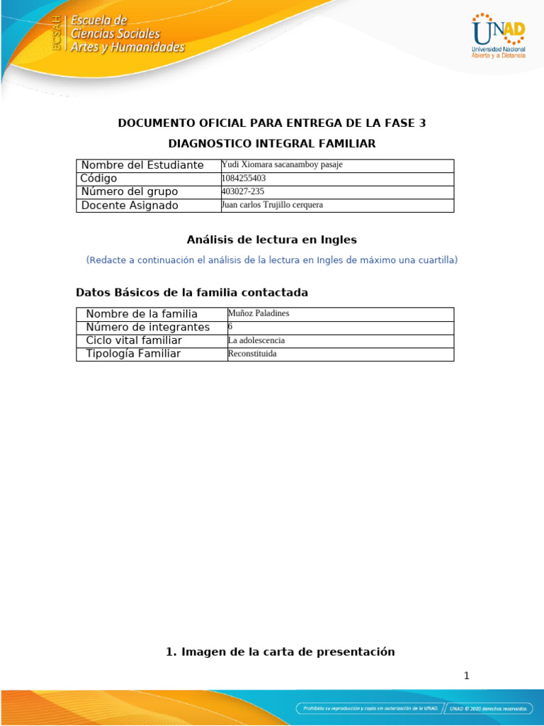 Anexo 4 - Formato Informe Diagnostico Familiar | PDF