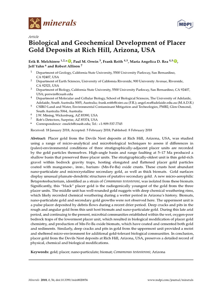 BioGeochemical DVPT of Placer Deposits | PDF | Gold | Scanning Electron ...