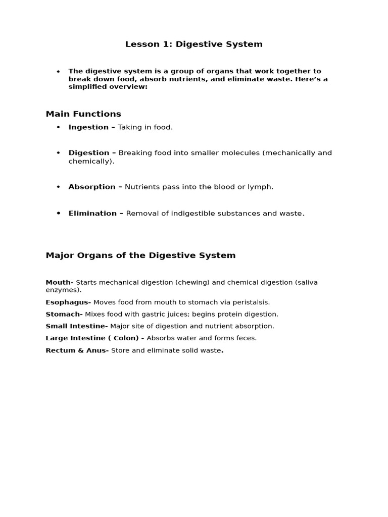 Digestive System Notes | PDF