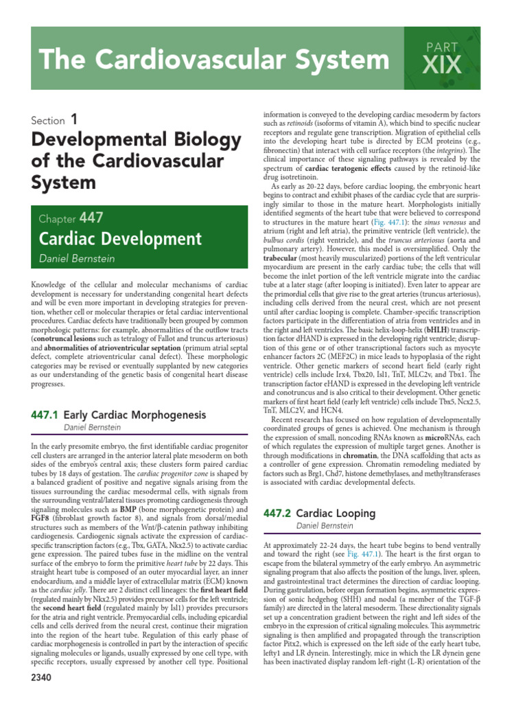 Nelson Cardio | PDF | Aorta | Heart Valve
