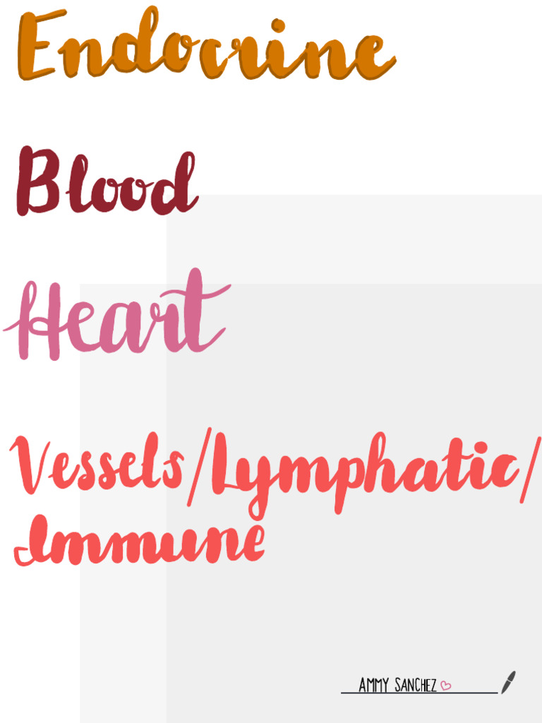 A&P 2 Midterm Material | PDF | Endocrine System | Pituitary Gland