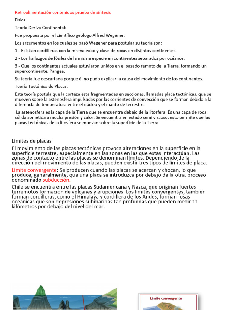 Resumen Prueba de Sentesis | PDF | Placas tectónicas | Sistema inmune