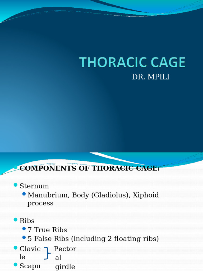Thoracic Cage-Structure & Functions | PDF | Vertebra | Musculoskeletal ...