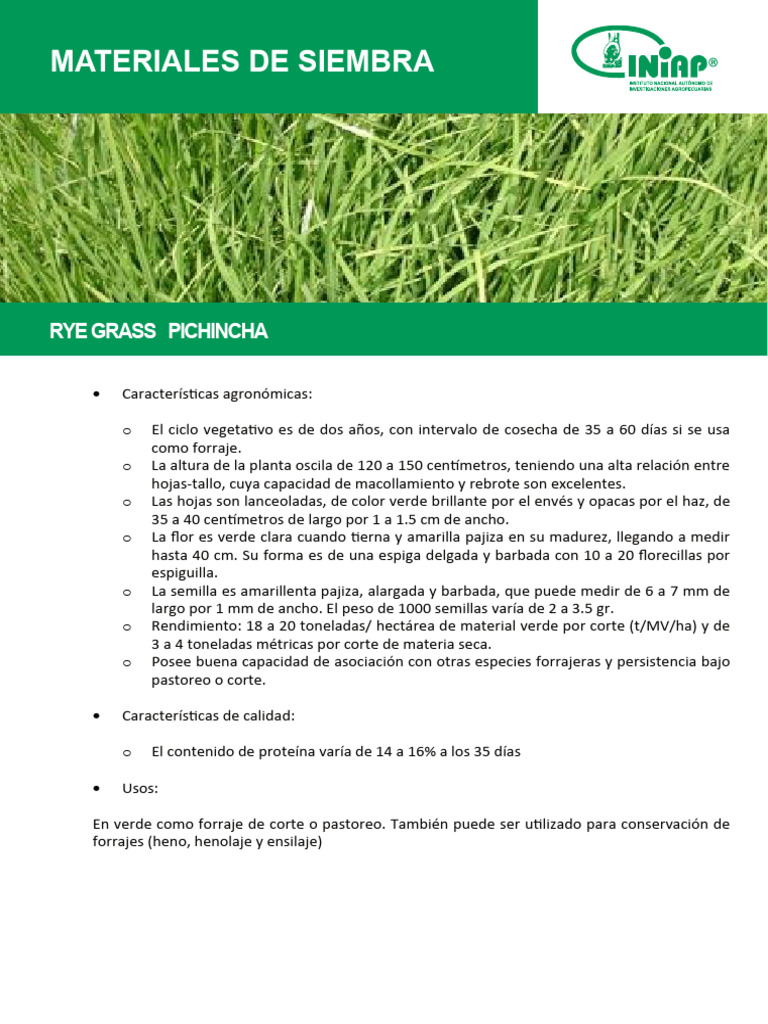 Ryegrass | PDF