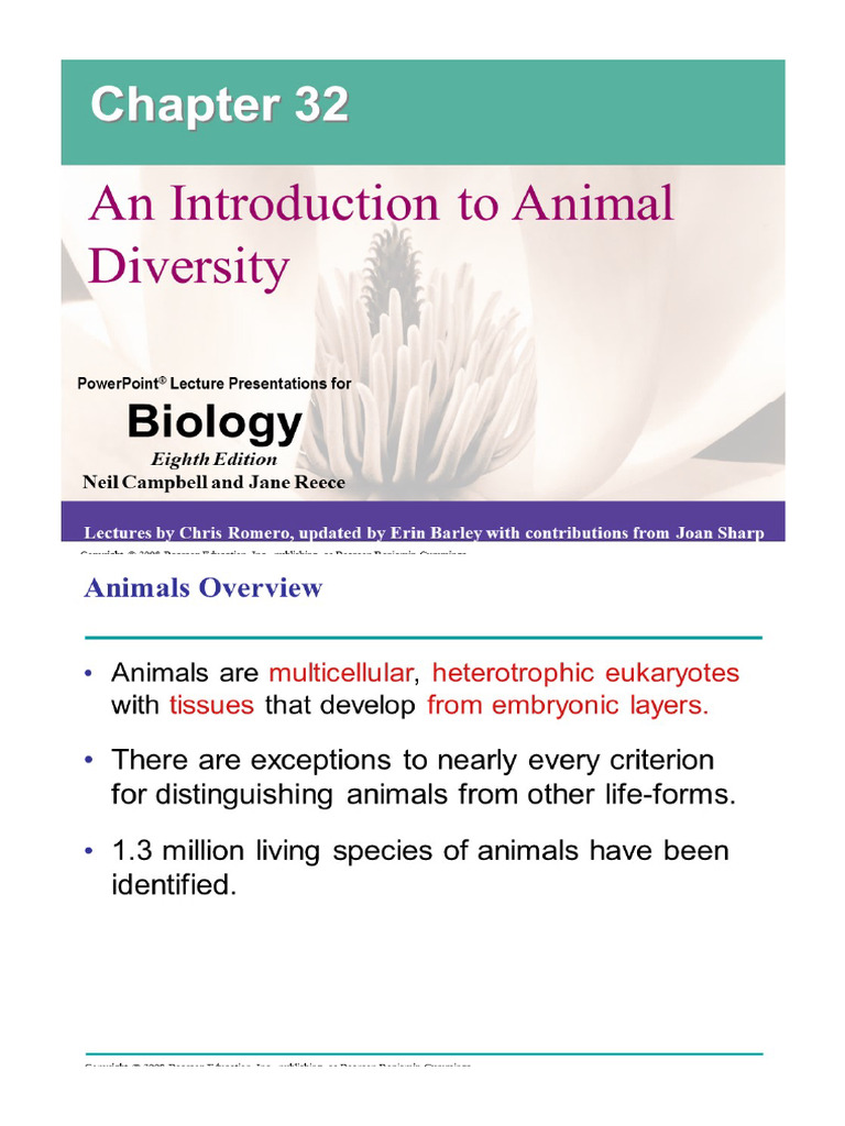 32 Intro To Animal Diversity | PDF
