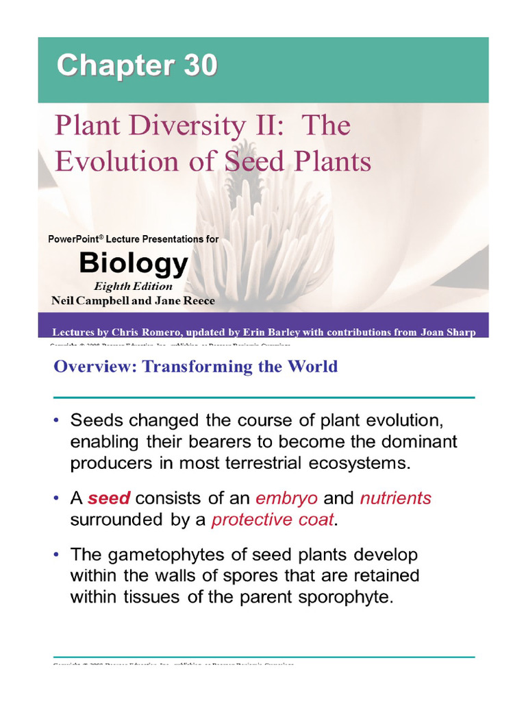 30 Plant Diversity | PDF