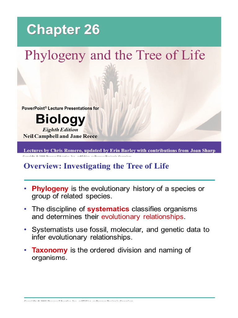 26 Tree of Life | PDF