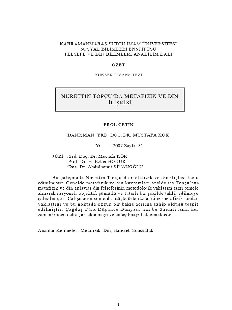 Erol Cetin Tez | PDF
