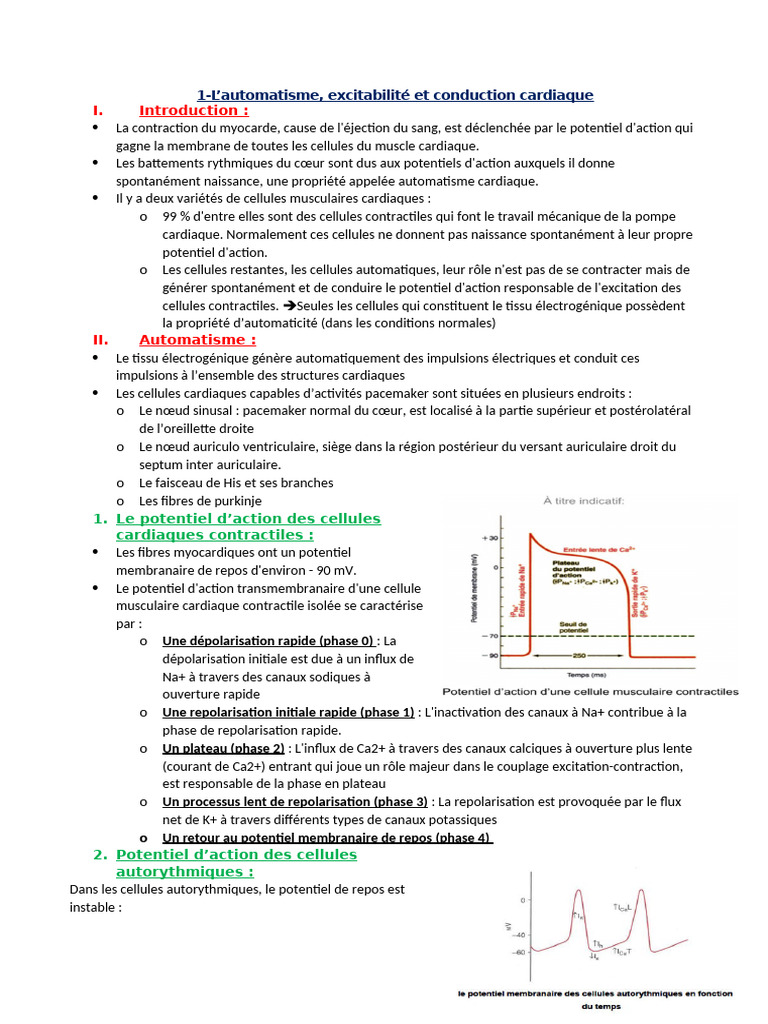 Automatisme et excitabilité cardiaque | PDF | Potentiel d'action | Cœur