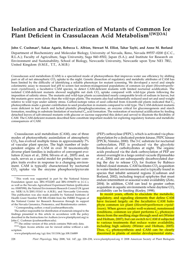 2008 - Isolation and Characterization of Mutants of Common Ice Plant | PDF | Biology | Biochemistry