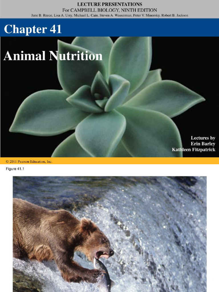 Animal Nutrition | PDF