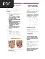 Anatomia das Vísceras Humanas | PDF | Corpo humano | Anatomia