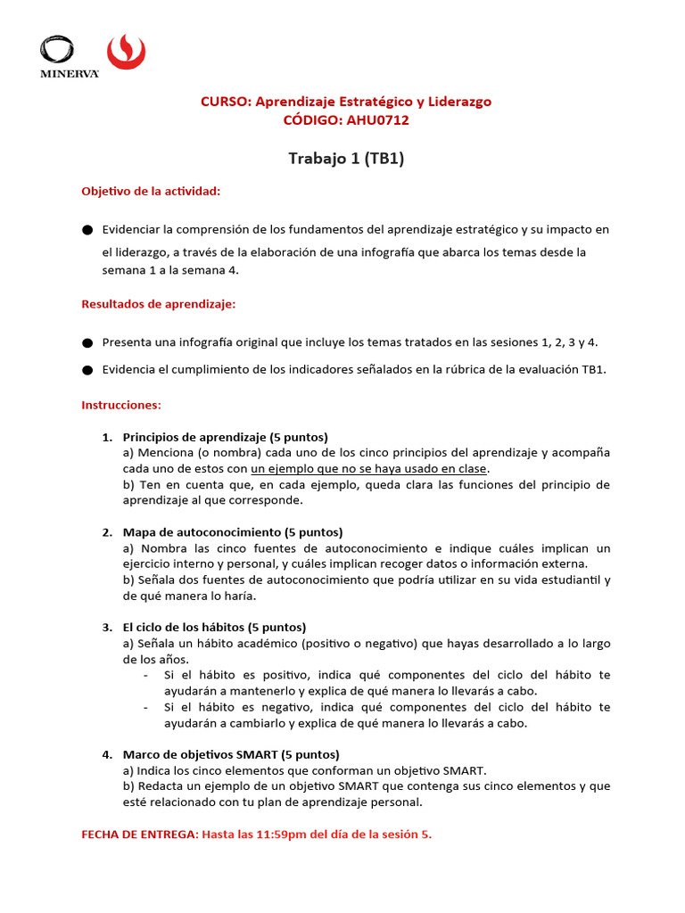Pautas Del TB1 AEL (2025) | PDF
