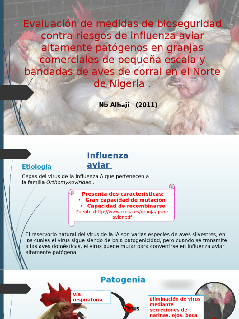 influenza aviar | PDF | Influenza aviar | Influenza