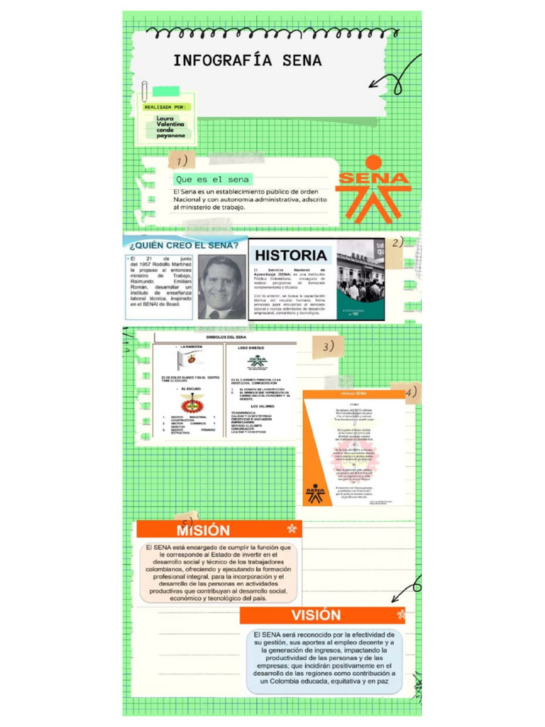 Infografía PDF - FLV | PDF