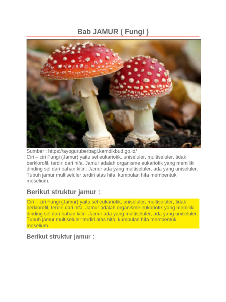 Jenis dan Struktur Jamur Eukariotik | PDF