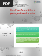 Características dos Vertissolos no Brasil | PDF | Solo | Clima temperado