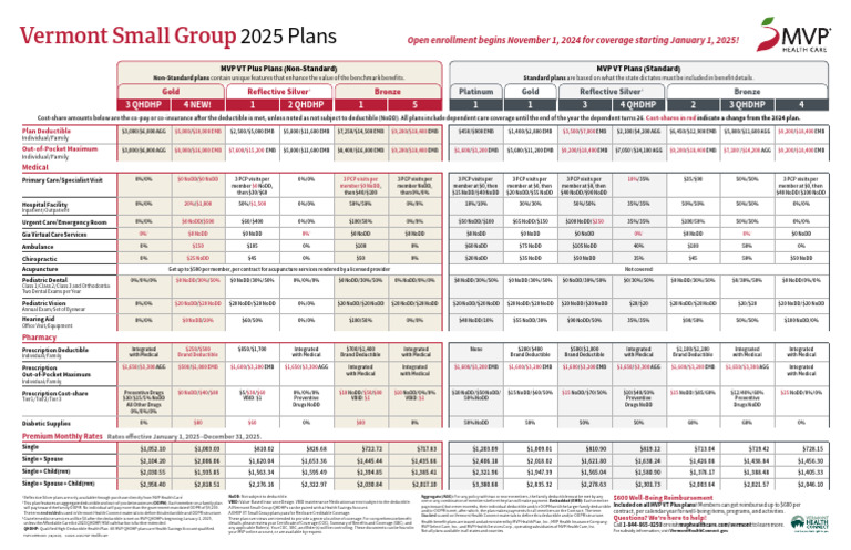 Vermont Small Group Health Plans 2025 | PDF | Deductible | Health ...