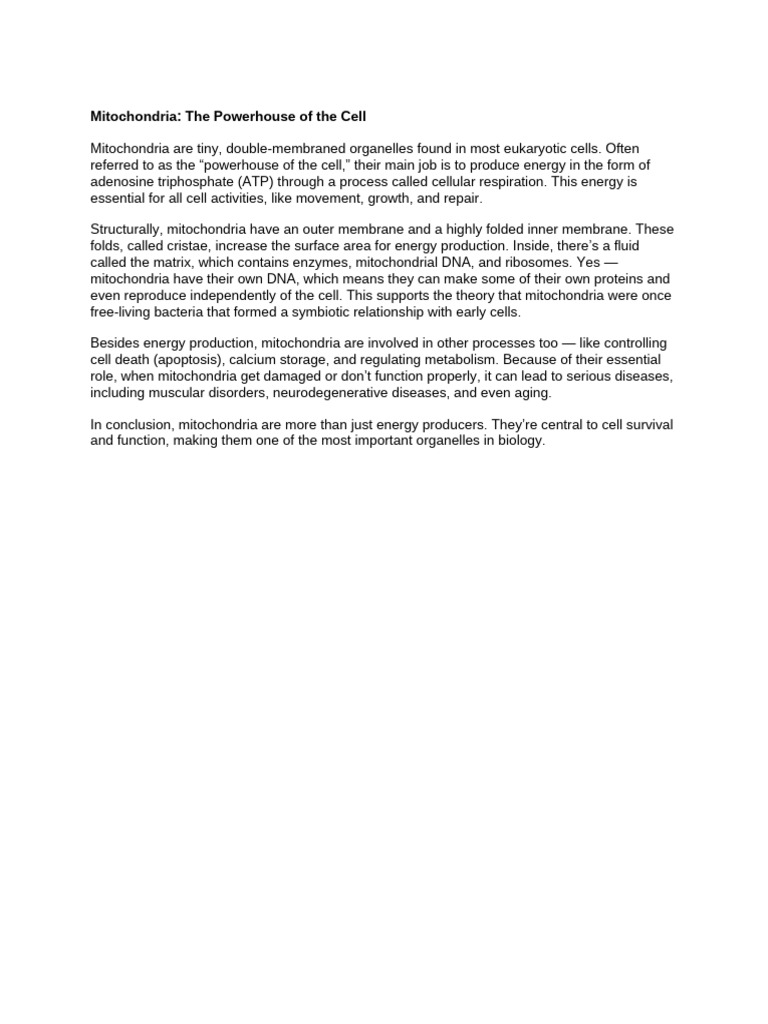 Mitochondria: The Powerhouse of The Cell | PDF