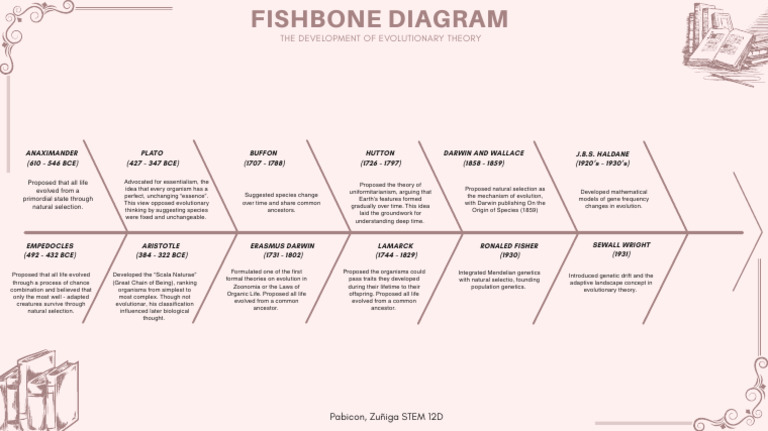 Fishbone Timeline Diagram | PDF | Evolution | Natural Selection