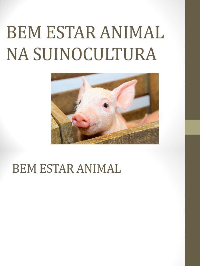 BEM ESTAR ANIMAL SUINOCULTURA | PDF | Bem-estar animal | Medicina Veterinária