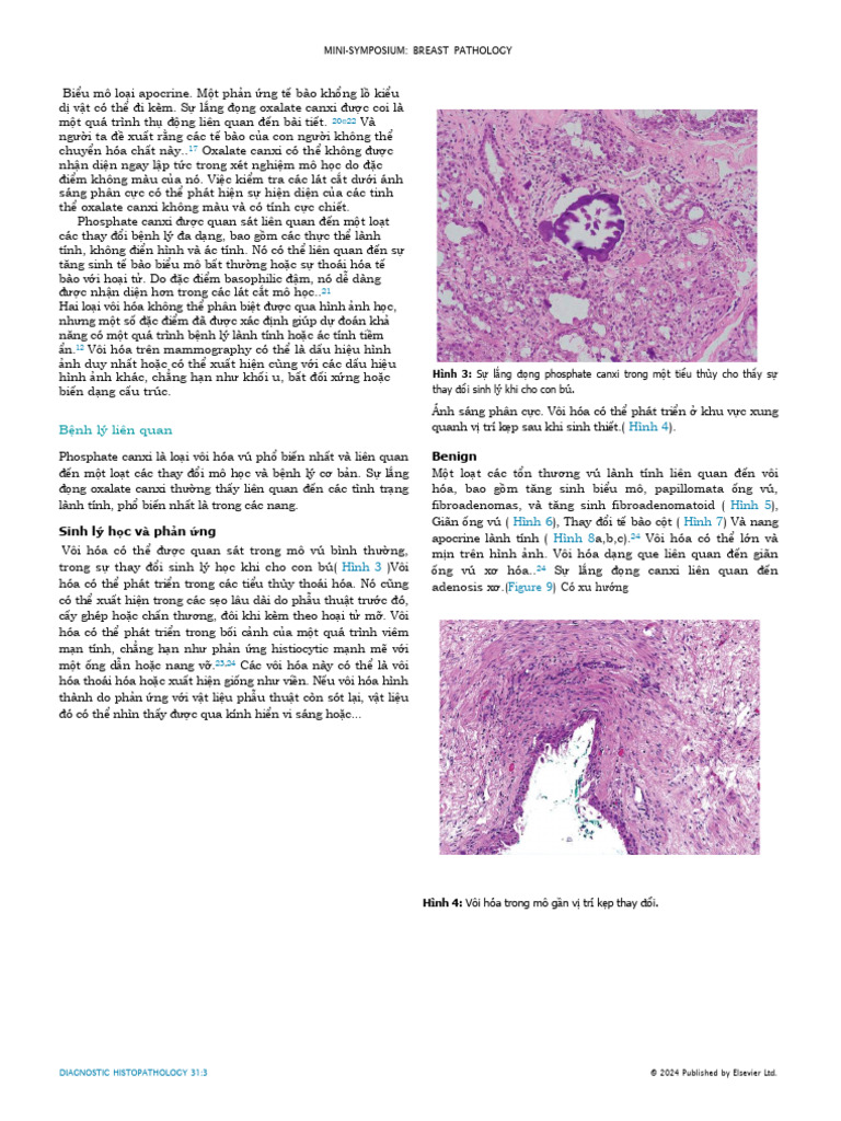 Tiß NG Viß Çt-Trang-3 | PDF